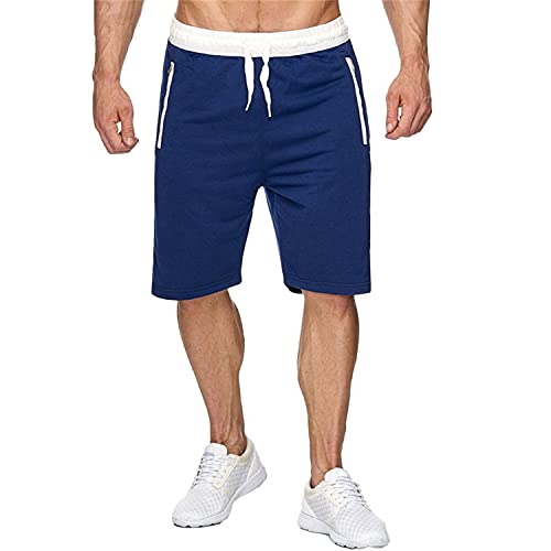 Men's Casual Beach Shorts Plus Size Loose Breathable Sports Short Pants Quick-Drying Athletic Gym Active Shorts (Blue,Large)