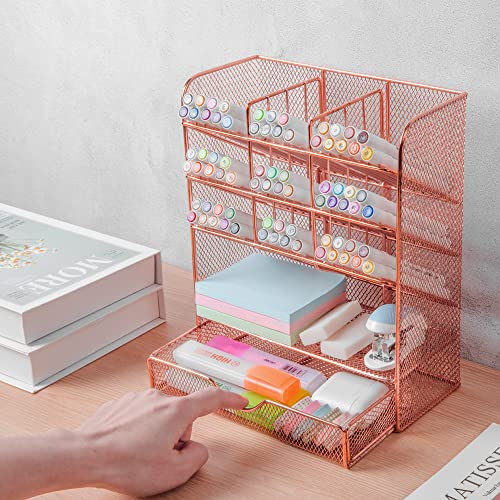 Spacrea Pen Holder Desk Organizer - Desk Organizers and Accessories, Pencil Holder with 10 Compartments and 1 Drawer(Rose Gold)
