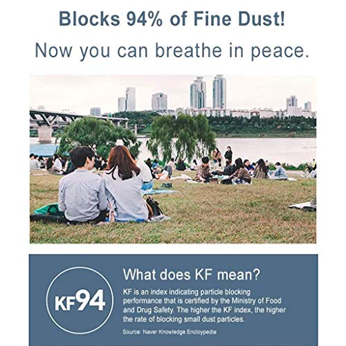 KF94 Disposable Face Safety Mask, Gray 100 Masks, Eco-Friendly Packaging - 5 Masks in 1 Pack, Breathable Mask for Adults β Good Manner