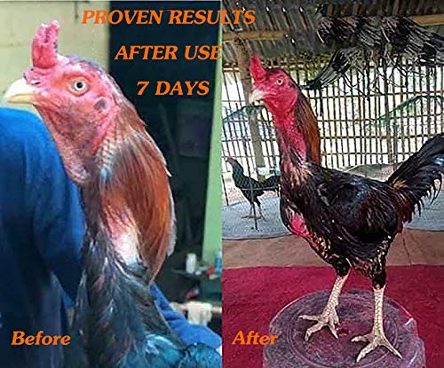 New MAXX 30 Capsules, Rooster Booster Vitamins Health Chicken Supplement Capsule, Increasing Energy Formula Stronger & More Power Healthy Feed Cock Fighting Gamecocks, Bird, Good Breeding, Hen Food