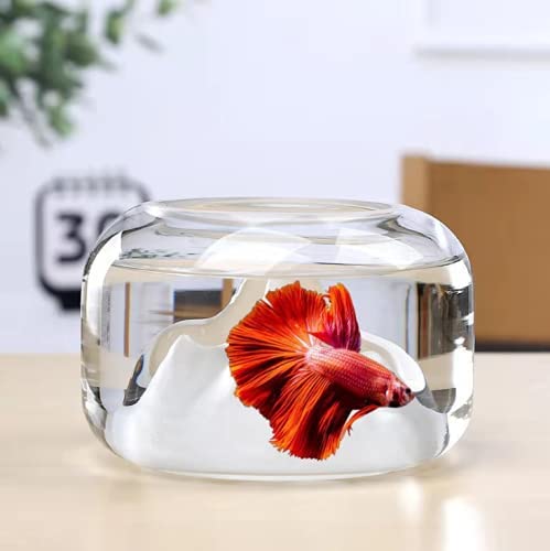Glass Fishbowl Small Snow Mountain Goldfish Aquarium 5.9" Mini Fish Tank,Cool Design