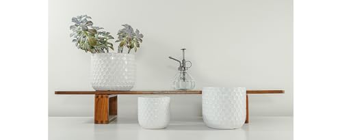 Docrin Ceramic Plant Pots Indoor: 6.5+5.3+4 Inch Planters with Drainage Holes for Home/Office - Set of 3 / White Honeycomb