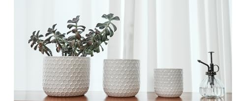 Docrin Ceramic Plant Pots Indoor: 6.5+5.3+4 Inch Planters with Drainage Holes for Home/Office - Set of 3 / White Honeycomb