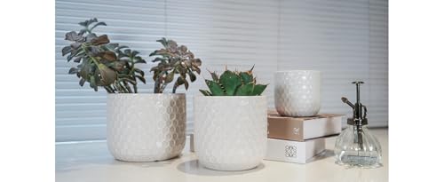 Docrin Ceramic Plant Pots Indoor: 6.5+5.3+4 Inch Planters with Drainage Holes for Home/Office - Set of 3 / White Honeycomb
