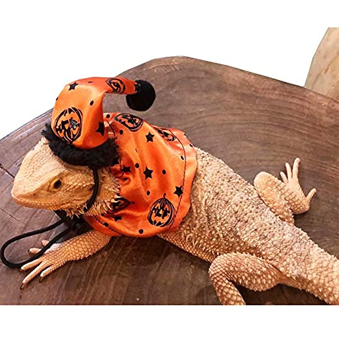 Lizard Clothes for Bearded Dragon - Halloween Hat and Cloak Set Adjustable Halloween Costume Xmas Gifts Pets Apparel for Bearded Dragon Rabbit Guinea Pig Ferret Hedgehog (Halloween Hat & Cloak Set)