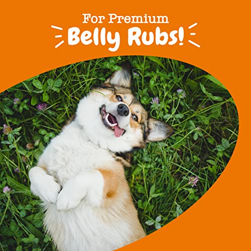 Zesty Paws Probiotic for Dogs - Probiotics for Gut Flora, Digestive Health, Occasional Diarrhea & Bowel Support - Clinically Studied DE111 - Dog Supplement Soft Chews for Pet Immune System – 250 Count
