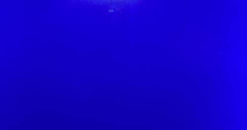 N4L Aquarium Background Black/Blue Double Sided Decoration for Fish Tank (48" L x 24" H)