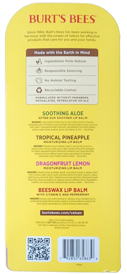 Burt's Bees Soak Up the Sun Lip Balm Variety,10 Count (Pack of 1)
