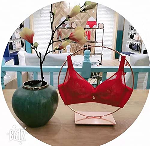 WellieSTR 1PC (Gold) Iron Round Underwear Bra Hanger Display Stand, Underwear Bra Shelf Rack Display Stand, Store Shelves,Round Circle Loop Display Stand