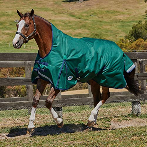 Weatherbeeta ComFiTec Plus Dynamic II High Neck Medium - Hunter/Navy - 75"
