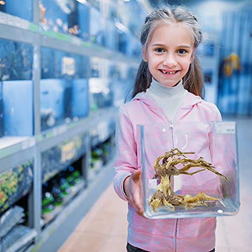 Bonsai Driftwood Aquarium Tree LSX Random Pick (4in Height) Natural, Handcrafted Fish Tank Decoration | Easy to Install