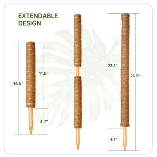 Moss Pole for Plants Monstera, 52 Inch Moss Stick, Fusisi Plant Pole for Climbing Plants Coir Totem Pole - Plant Support for Indoor Potted Plants Train Creeper Plants Grow Upwards - 4 Pack