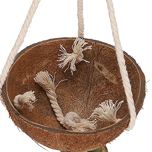 Parrot Coconut Shell Swing Parrot Swing Toy Bird Chewing Toy Nature Wood Stand Parrot Cage Bite Toys for Small Medium Birds