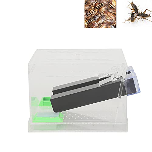 Shanrya Acrylic Feeding Cricket Keeper, Cricket Care Kit with Tubes with Feces Layer for Observation of Breeding(L)