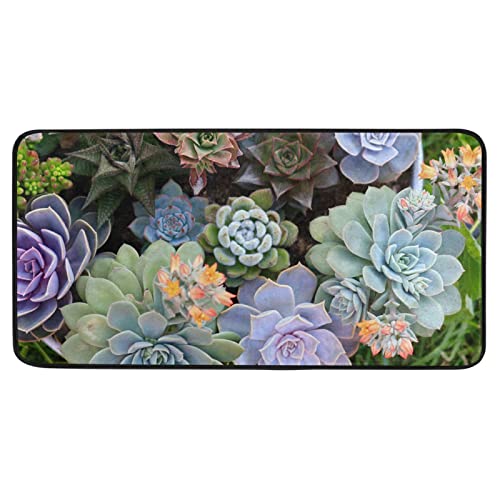 KFBE Succulents Plant Area Rugs 39x20 inch Carpet for Kitchen, Bathroom, Laundry Room, Bedroom (20809835)