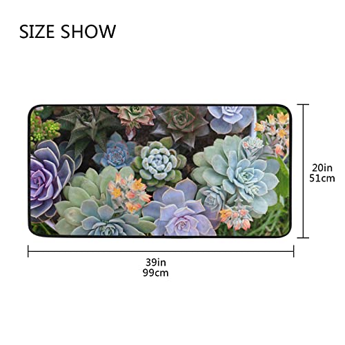KFBE Succulents Plant Area Rugs 39x20 inch Carpet for Kitchen, Bathroom, Laundry Room, Bedroom (20809835)