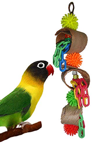 Fetch-It Pets 2 Pack Bird/Parrot Block Party & Fiesta Foraging Toys Suitable for Small Parrots, Parakeets, Cockatiel, Conures, Finches, Budgie, Macaws, Parrots, Love Birds