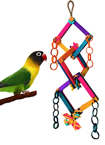 Fetch-It Pets 2 Pack Bird/Parrot Block Party & Fiesta Foraging Toys Suitable for Small Parrots, Parakeets, Cockatiel, Conures, Finches, Budgie, Macaws, Parrots, Love Birds