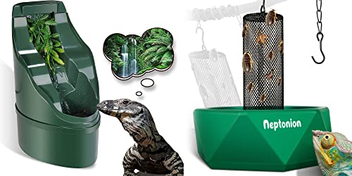 NEPTONION Chameleon Feeding Kit, Come with a Hookable Feeding Bowl and a Reptile Water Feeder, Perfect for Leaving Your pet Whilst on Vacation
