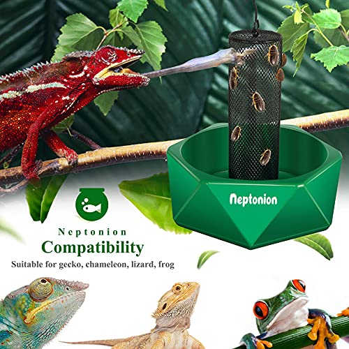 NEPTONION Chameleon Feeding Kit, Come with a Hookable Feeding Bowl and a Reptile Water Feeder, Perfect for Leaving Your pet Whilst on Vacation