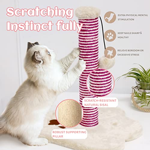 ABclown Cat Scratching Post Cat Tree Small Cat Tower with Natural Sisal Pole and Carpet Covered Heavy Base, Cat Claw Scratcher for Indoor Small Cats, Kitten Climbing Pole for Play Rest