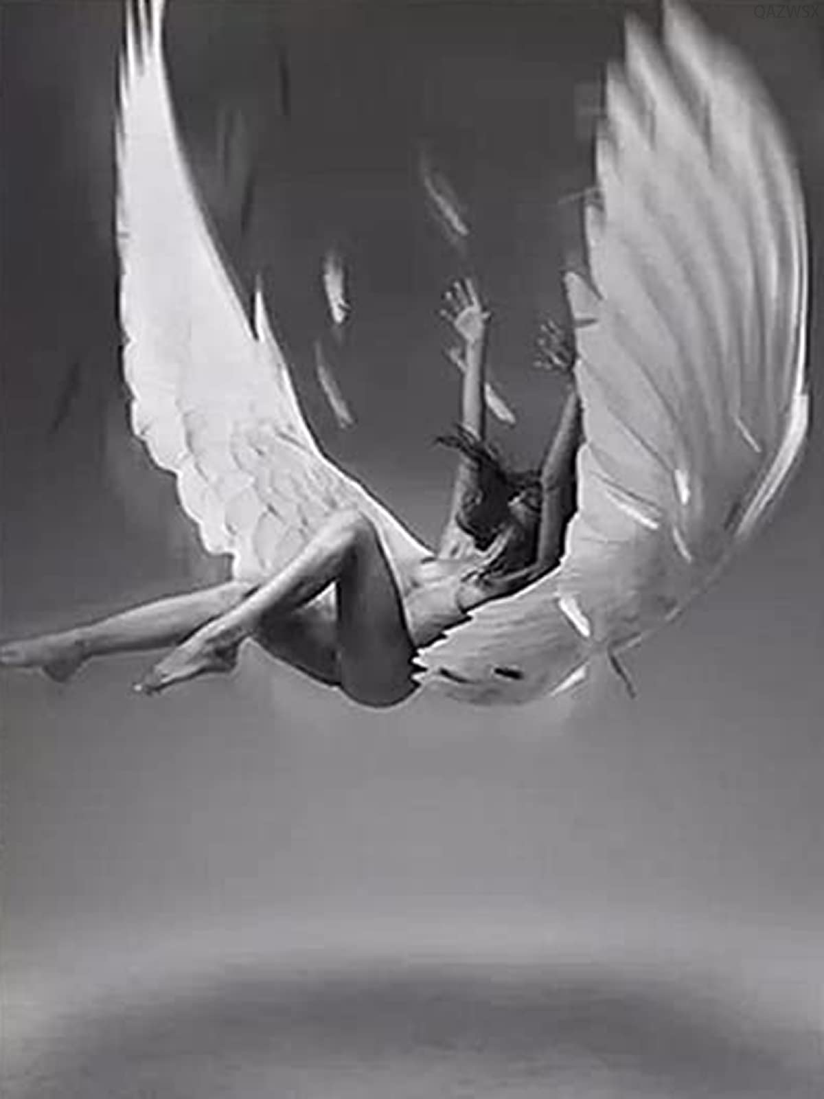 5D Black White Fallen Angel White Wing DIY Diamond Art Painting Kits for Adults, Full Drill Diamond Arts Rhinestone Pasted, Diamonod Dot Arts Crafts for Home Wall Decor Christmas Gift 12x16 inch