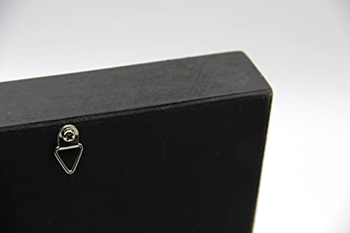 Real Giant Bird Eating Tarantula EURYPEIMA SPINCRUS Spider Taxidermy Transparent Boxed Display (Black Wooden Box)