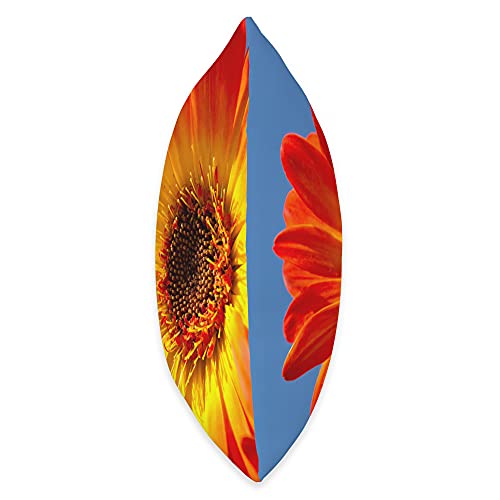 TAYEGU Daisies Flowers Floral Orange Gerber Floral Flowers Daisies Gerbera Throw Pillow, 16x16, Multicolor