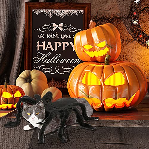 ZC Halloween Spider Costume for Small Dogs and Cats, Halloween Funny Pet Dog Puppy Cosplay Costume with Adjustable Velcro