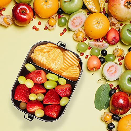 Stainless Steel Lunch Box-1200ML Metal Leak Proof Bento Container for Sandwich Storage, Meal, Rice, Snack-Perfect Sized for Kids, Adults, Men, Women, Boys-2 Compartments-Removable Divider