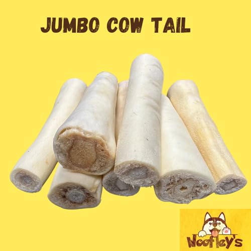 Woofley's Buffalo Cow Tail Jumbo Bone - (8 Count) - Meaty Thick Bones for Dogs - No Splinter Dog Bones - Long Lasting Dog Chews and Bones