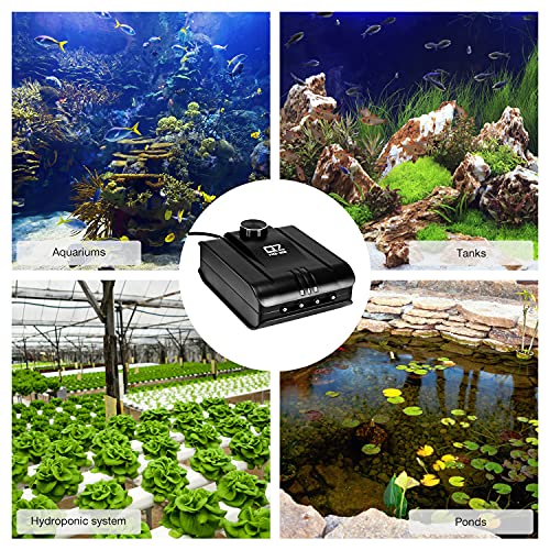 Aquarium Air Pump 4 Outlet, Lychee 254GPH 8W Quiet Oxygen Pump Fish Tank Aerator Pump with Check Valve Air Stone for Up to 300 Gallon Fish Tank