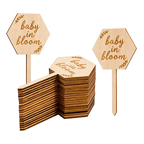 Baby in Bloom Succulent Tags Baby Shower Favors Gifts, PARBEE 20PCS Hexagon Plant Stakes Labels Gift Wooden Garden Stakes Succulent Plant Markers