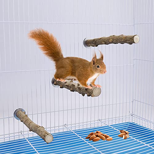 Mogoko Natural Wood Bird Perch Stand, Hanging Multi Branch Perch for Parrots, Parakeets Cockatiels, Conures, Macaws, Love Birds, Finches (Style 4)