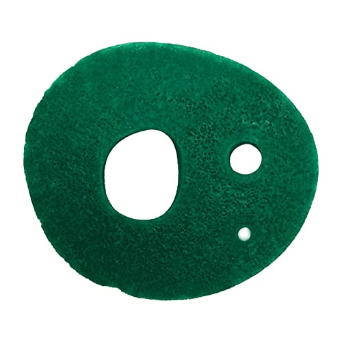 Milageto 5 Pieces Rock Climbing Holds, Playground Accessories, Rock Wall Holds for Outdoor Indoor, Climbing Rocks, Medium