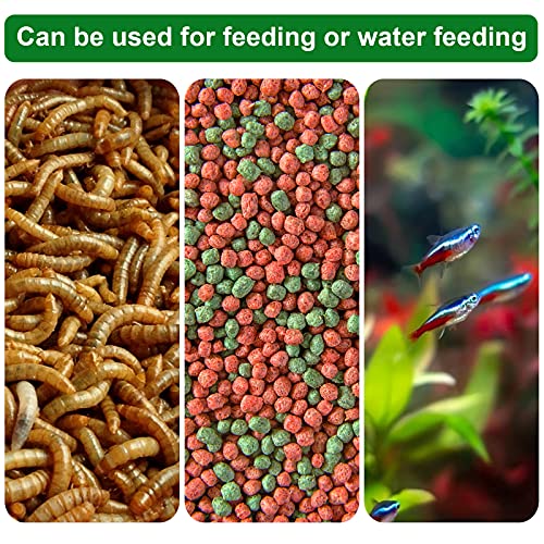 WEAVERBIRD 6Pcs Glass Reptile Feeder Food Bowl,Food Basin Tray Container Water Dish Cup, Reptile Terrarium Water Bowl,Round Water Dish Cup for Small Pet Lizard Turtle Spider Scorpion Frog Cricket