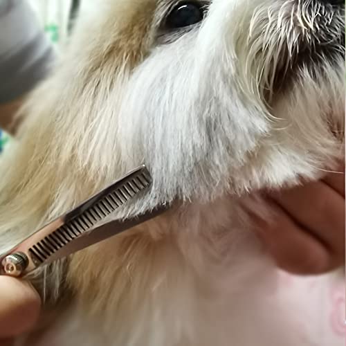 FAIGEO Dog Grooming Scissors Kit with Safety Round Tips Stainless Steel Professional Dog Grooming Shears Set - Thinning, Curved Scissors and Comb for Dog Cat Pet