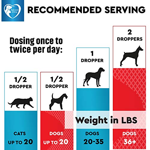 Cats & Dogs Liquid Herbal Medicine & Natural Broad Spectrum Treatment for Tapeworm, Whipworm, Roundworm, and Hookworm - Prevention Medication & Supplement Drops for Kitten and Puppies - Made in USA