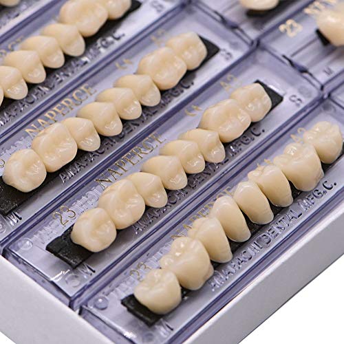 RZJZGZ 168 Pcs Dental Synthetic Resin Tooth Halloween Horror Teeth 6 Sets 23 A3