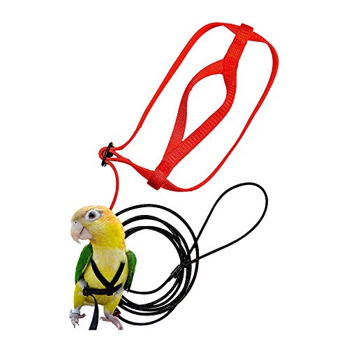 GFHFG Pet Bird Harness and Leash,Adjustable Parrot Bird Harness Leash - Pet Anti-Bite Rope Harness and Leash(M)