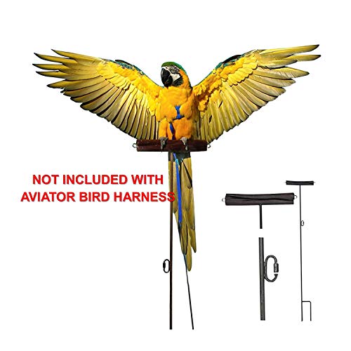 GFHFG Pet Bird Harness and Leash,Adjustable Parrot Bird Harness Leash - Pet Anti-Bite Rope Harness and Leash(M)