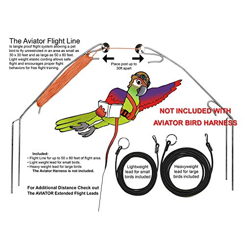 GFHFG Pet Bird Harness and Leash,Adjustable Parrot Bird Harness Leash - Pet Anti-Bite Rope Harness and Leash(M)