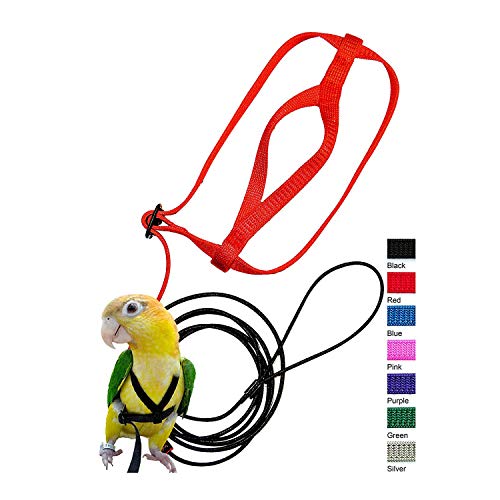 GFHFG Pet Bird Harness and Leash,Adjustable Parrot Bird Harness Leash - Pet Anti-Bite Rope Harness and Leash(M)