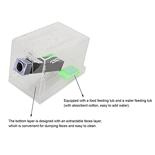 Luroze Cricket Care Kit, Easy to Cricket Keeper Tank Box High Transparency Acrylic Material for Home for Office(S)