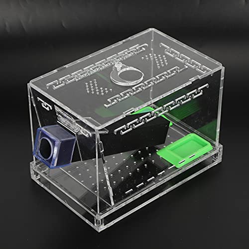 Luroze Cricket Care Kit, Easy to Cricket Keeper Tank Box High Transparency Acrylic Material for Home for Office(S)