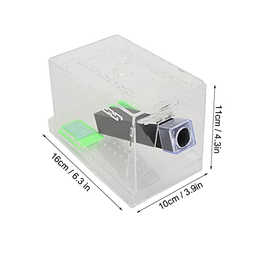 Luroze Cricket Care Kit, Easy to Cricket Keeper Tank Box High Transparency Acrylic Material for Home for Office(S)