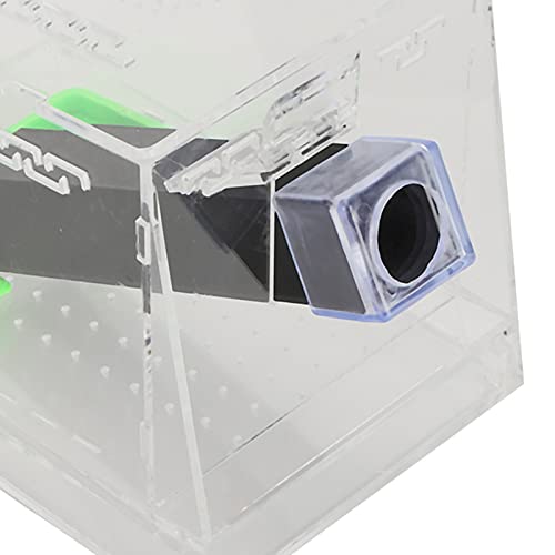 Luroze Cricket Care Kit, Easy to Cricket Keeper Tank Box High Transparency Acrylic Material for Home for Office(S)