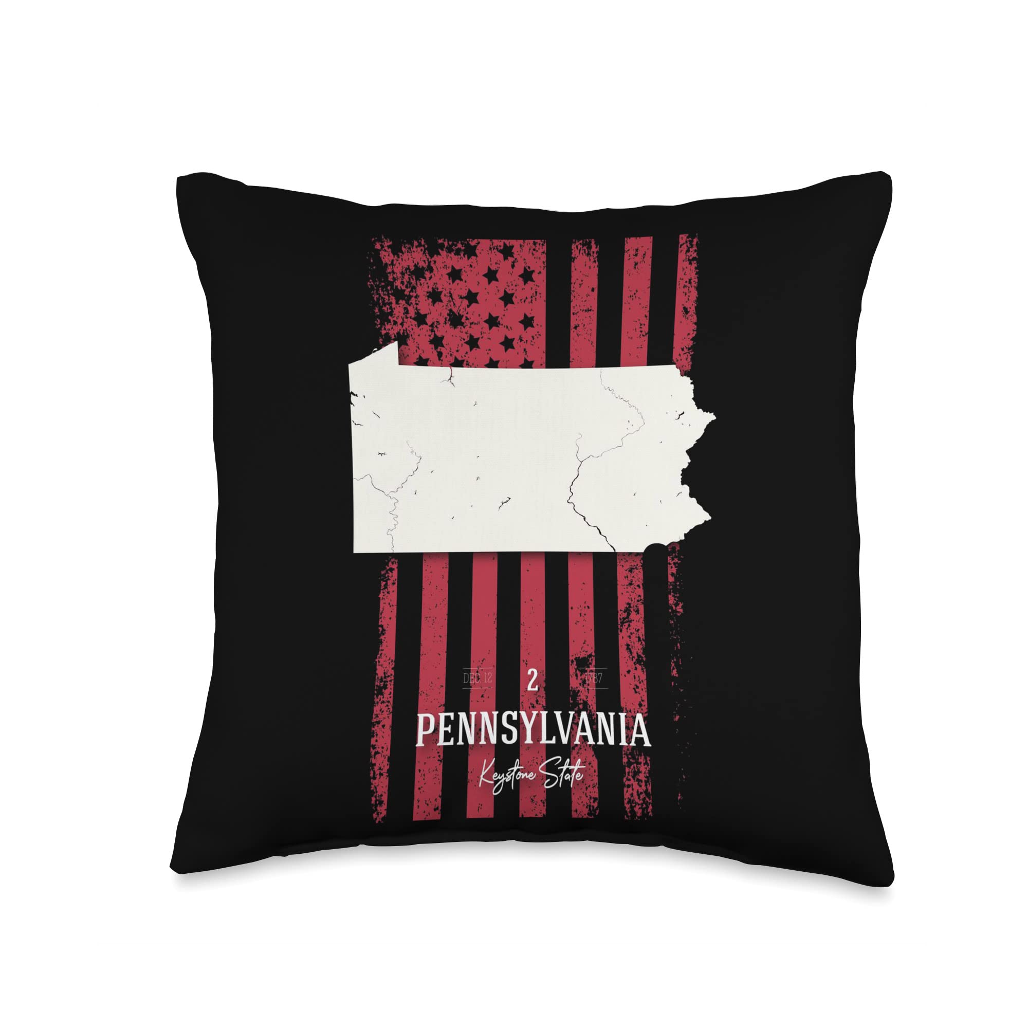 Pennsylvania State Map USA Throw Pillow, 16x16, Multicolor
