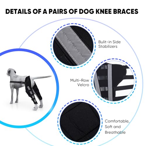 NATUYA Dog Knee Brace for Torn ACL Hind Leg, CCL, Luxating Patella, Dog Leg Braces with Side Stabilizers - Better Recovery and Prevent Licking, Relieves Joint Pain (Black, M)