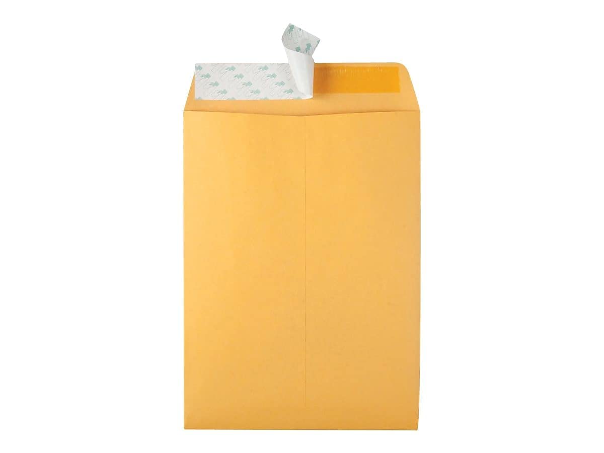 Quality Park 9" x 12" Self-Seal Catalog Envelopes, for Mailing, Organizing and Storage, Brown Kraft, Heavy 28-lb Paper, 100 Per Box (QUA44562)